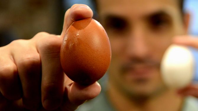 Como cozinhar ovo – Dicas em 1 Minuto - Bom Gourmet