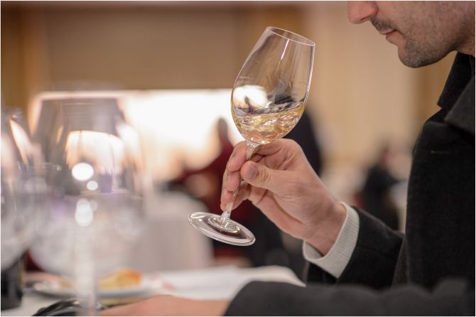 Rótulo traseiro do vinho: como ler e quais informações são importantes