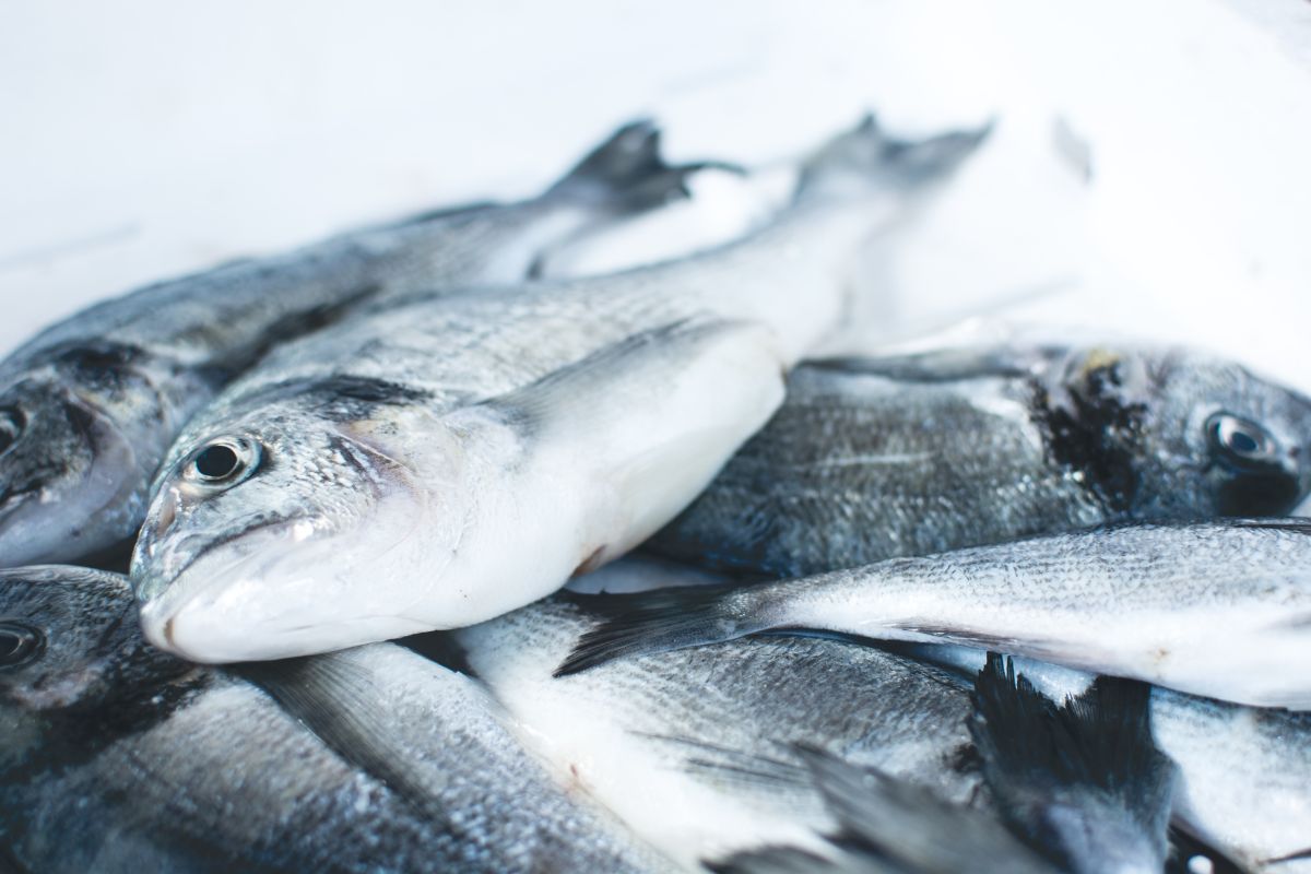 Olha o Peixe tem combos para clientes de Curitiba comprarem pescados ...