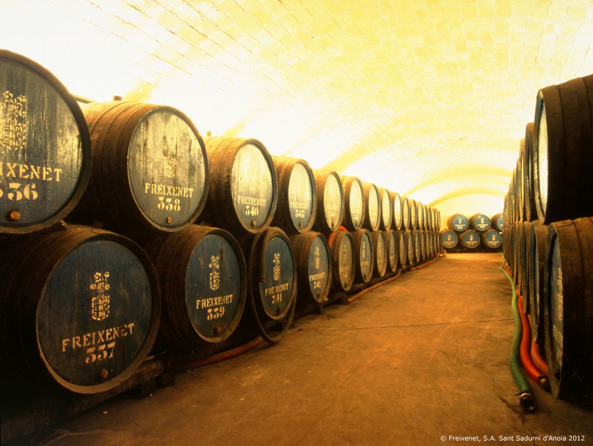 Cava, o vinho espumante da Espanha que é primo do champagne