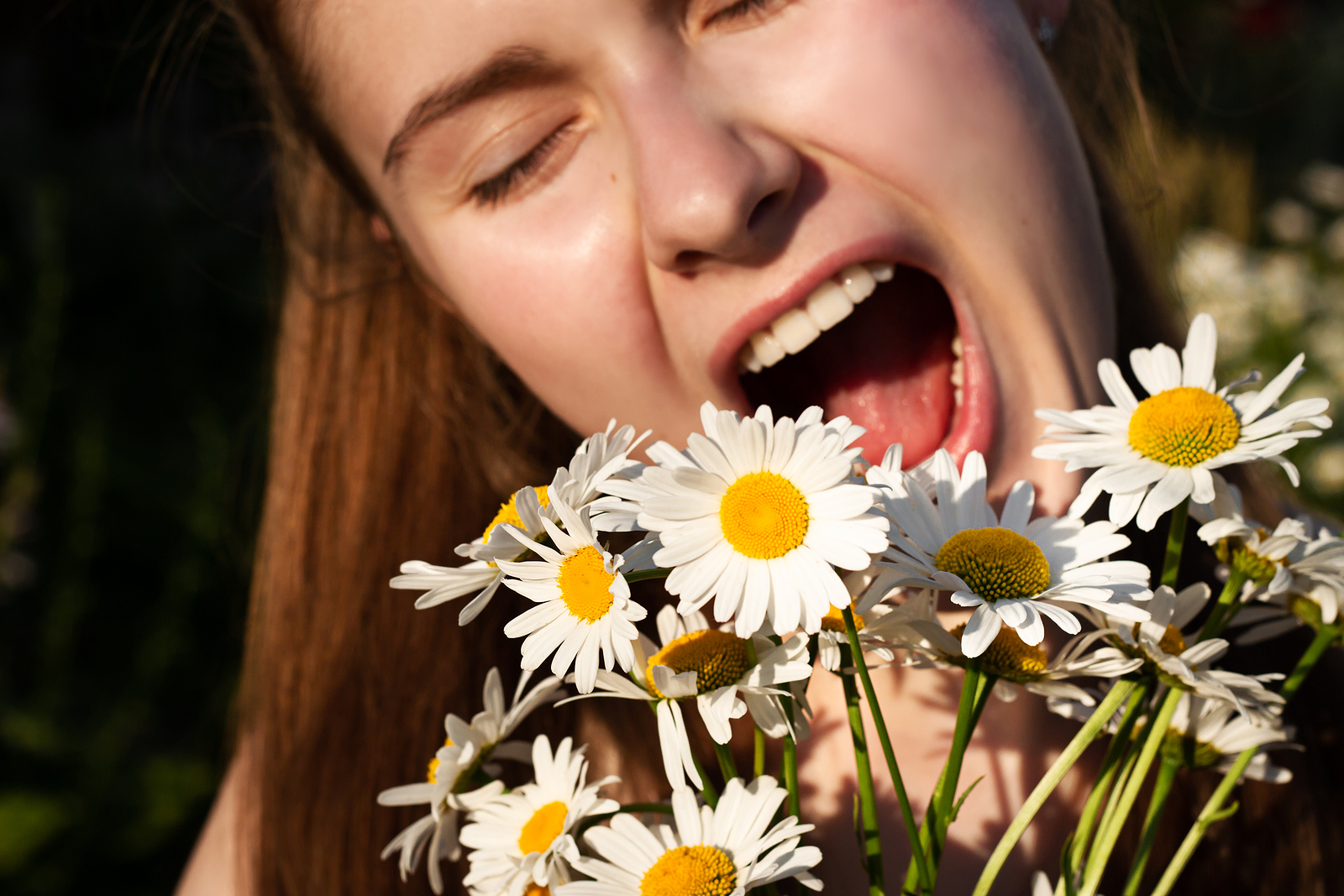 Flores para ver e para comer - Bom Gourmet