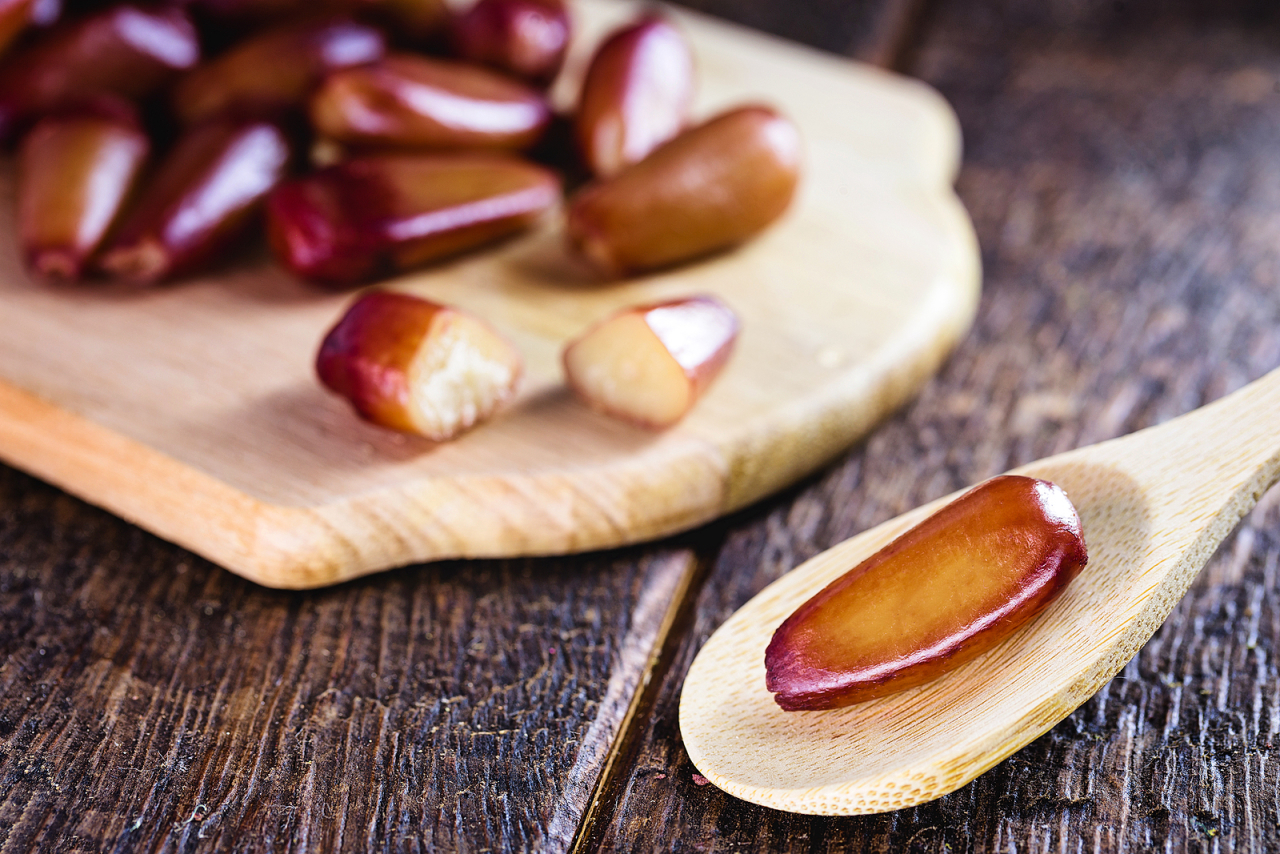 Como descascar pinhão! - Bom Gourmet